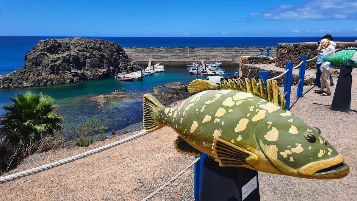 The Complete Guide To El Cotillo Fuerteventura - elcotillo.net